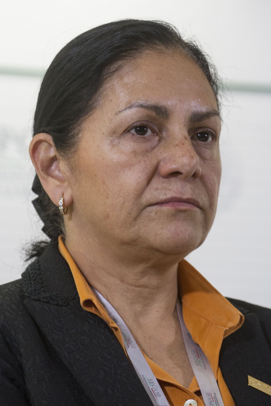 Deja Bugarín subsecretaría de Seguridad Pública - ContraRéplica - Noticias