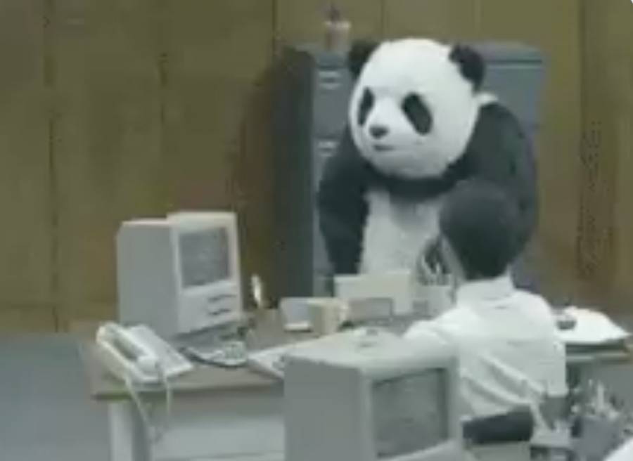 Con gif de panda, Christopher Landau se disculpa por fallas en emisión ...