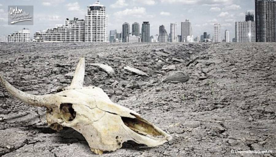 Sexta extinción masiva pone en riesgo a 515 especies del planeta ... Sexta extinción masiva pone en riesgo a 515 especies del planeta ...