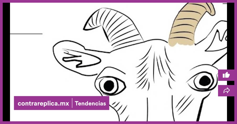 Ilustraciones de la Profepa se vuelven memes; aquí los mejores ...