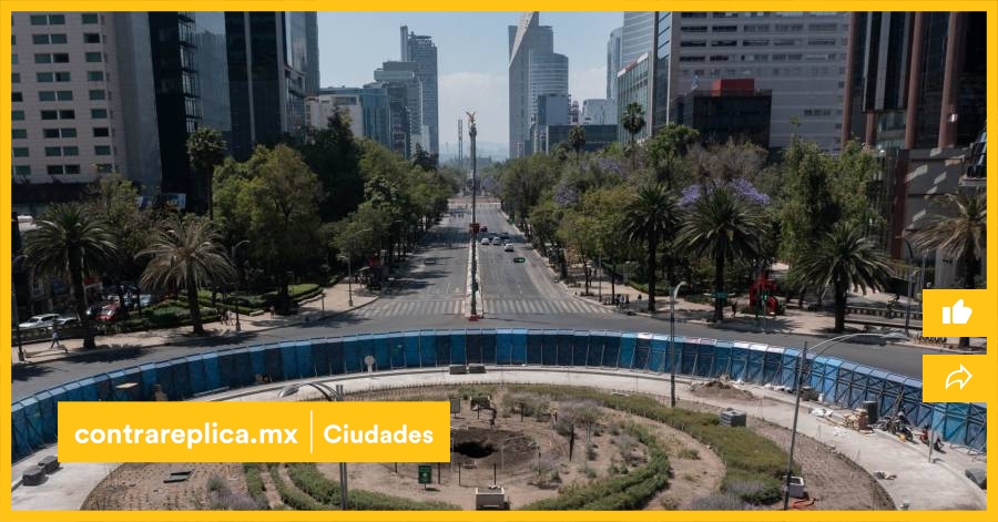 Nuevo Ahuehuete será plantado en Glorieta de Paseo de la Reforma ...