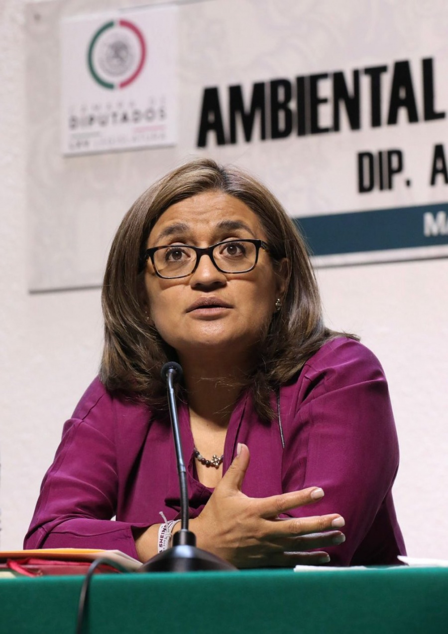 Busca Aleida Alvaez dar licencias médicas a padres cuyos hijos tengan ...