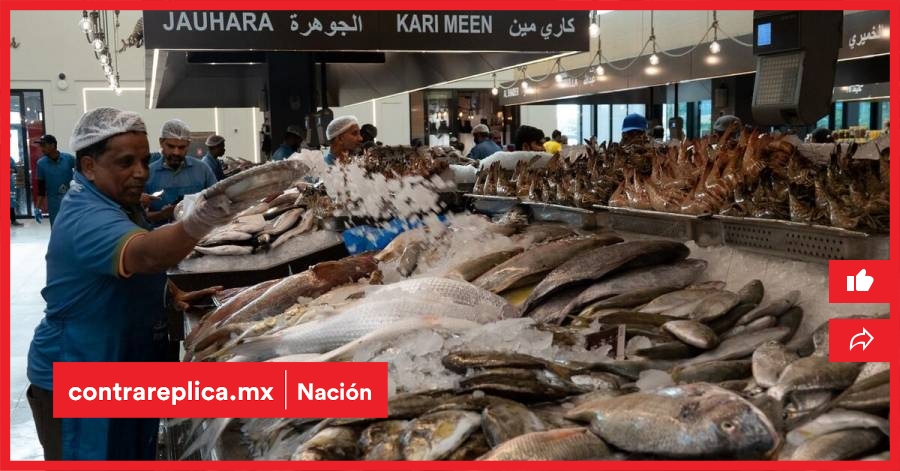 Disponibles más de 100 especies de pescados y mariscos para la presente ...
