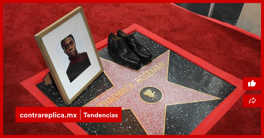 Chadwick Boseman recibe una estrella póstuma en el Paseo de la Fama de ...