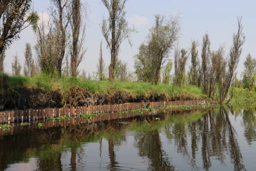 Universidad de Chapingo realiza rescate a zona chinampera de Xochimilco ...