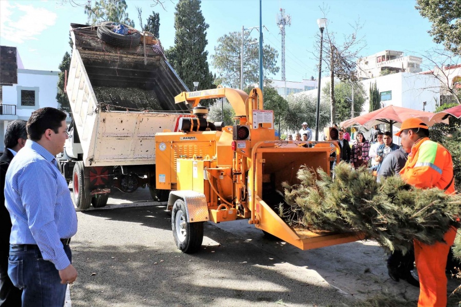 La campaña “Árbol por Árbol, tu Ciudad Reverdece 2019”, continúa en la ...